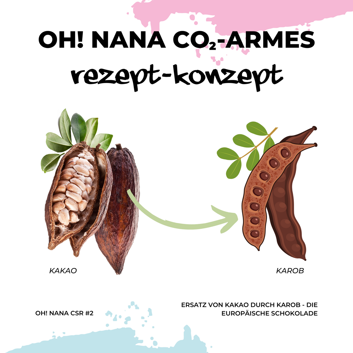 OH! NANA CO2-armes Rezept-Konzept – VAMBAM